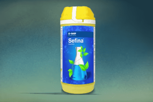 Product Review: BASF’s Insecticide SEFINA | TechSci Research