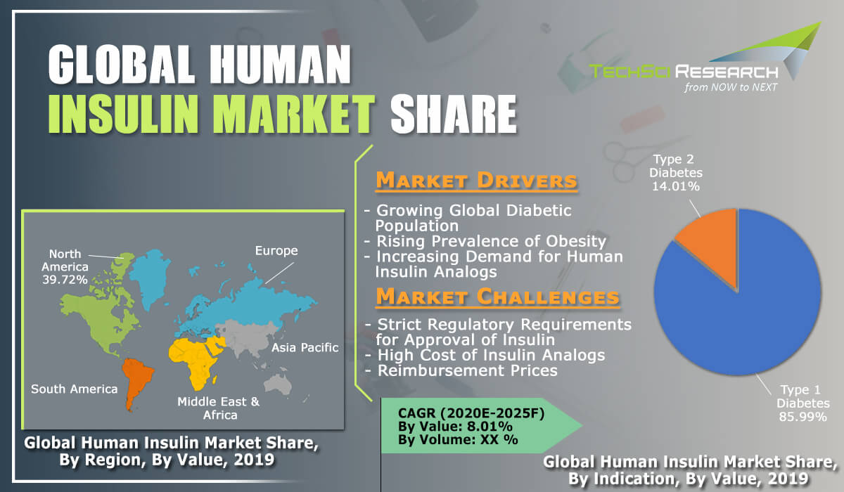 Human Insulin Market Size, Share & Market Forecast - Infographic