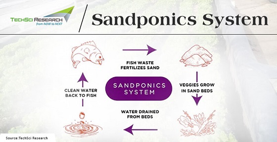 Sandponics - A Solution for Food Security in Desert Regions