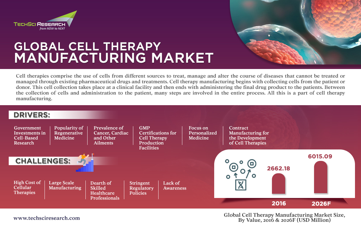 Global Cell Therapy Manufacturing Market Size, Share, Growth & Forecast ...