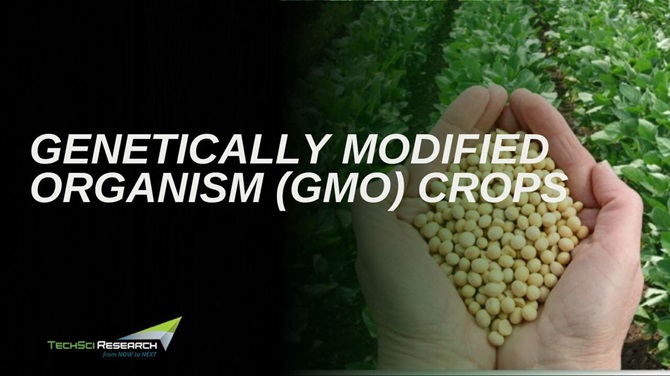 All About Genetically Modified Organism (GMO) Crops: Benefits ...