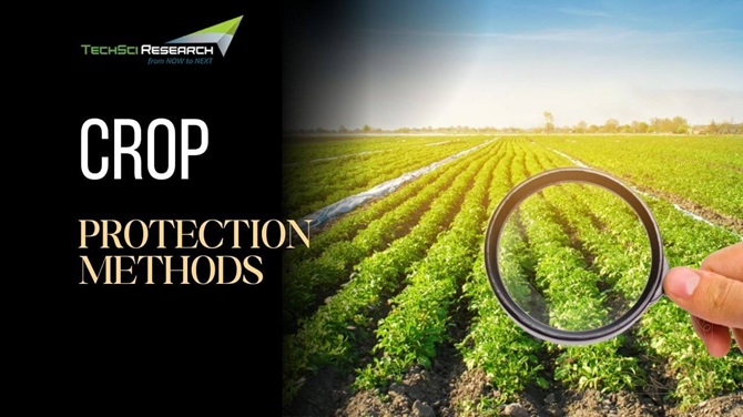 Crop Protection Methods: Driving Sustainability in Agriculture