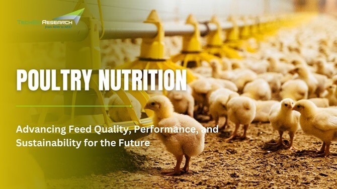 Poultry Nutrition: Advancing Feed Quality, Performance, and ...