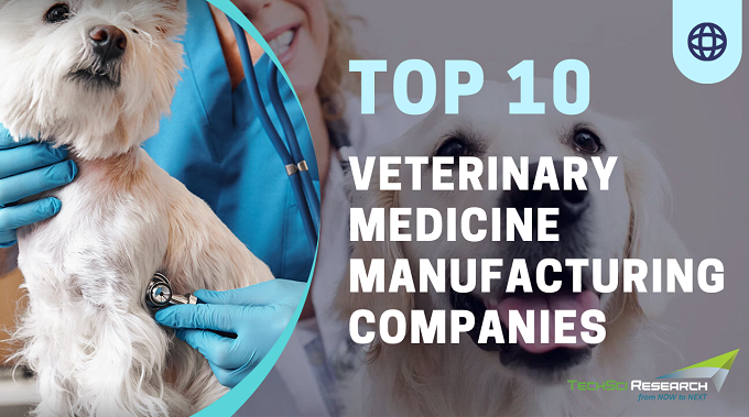 Top Veterinary Medicine Manufacturing Companies in the World [2024 Updated]