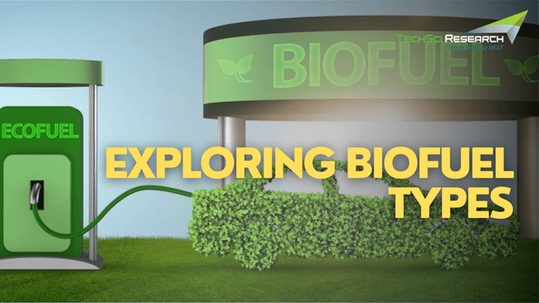 Exploring Different Type of Biofuel [2024]