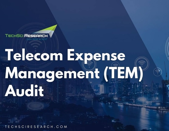 The Power of a Telecom Expense Management (TEM) Audit: Reduce Costs and ...
