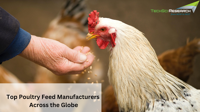 Top Poultry Feed Manufacturers Across the Globe: A Comprehensive Overview