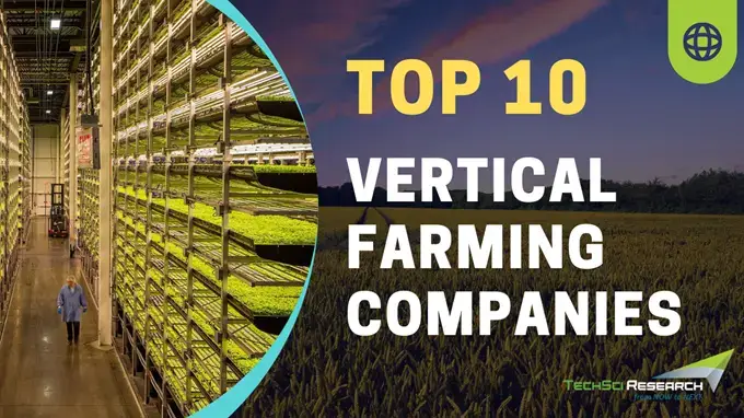 Top 10 Vertical Farming Companies Worldwide [2025 Updated]