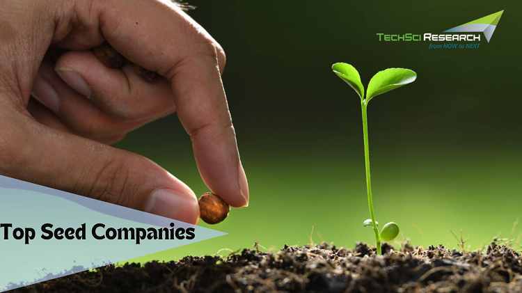 Top 5 Seeds Companies in World