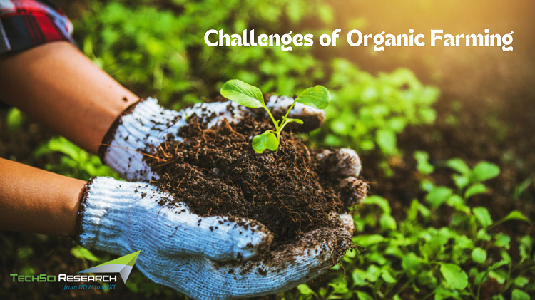 Challenges of Organic Farming: Key Obstacles and Solutions
