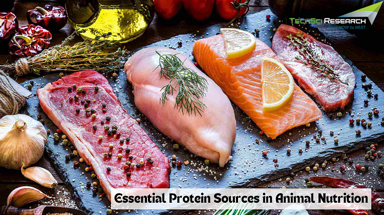 Essential Protein Sources in Animal Nutrition: Common Feed Ingredients ...