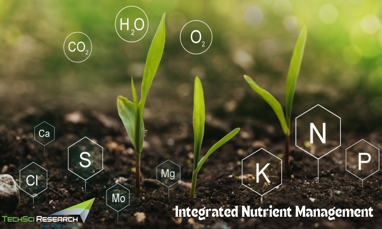 Integrated Nutrient Management: A Sustainable Approach to Modern ...
