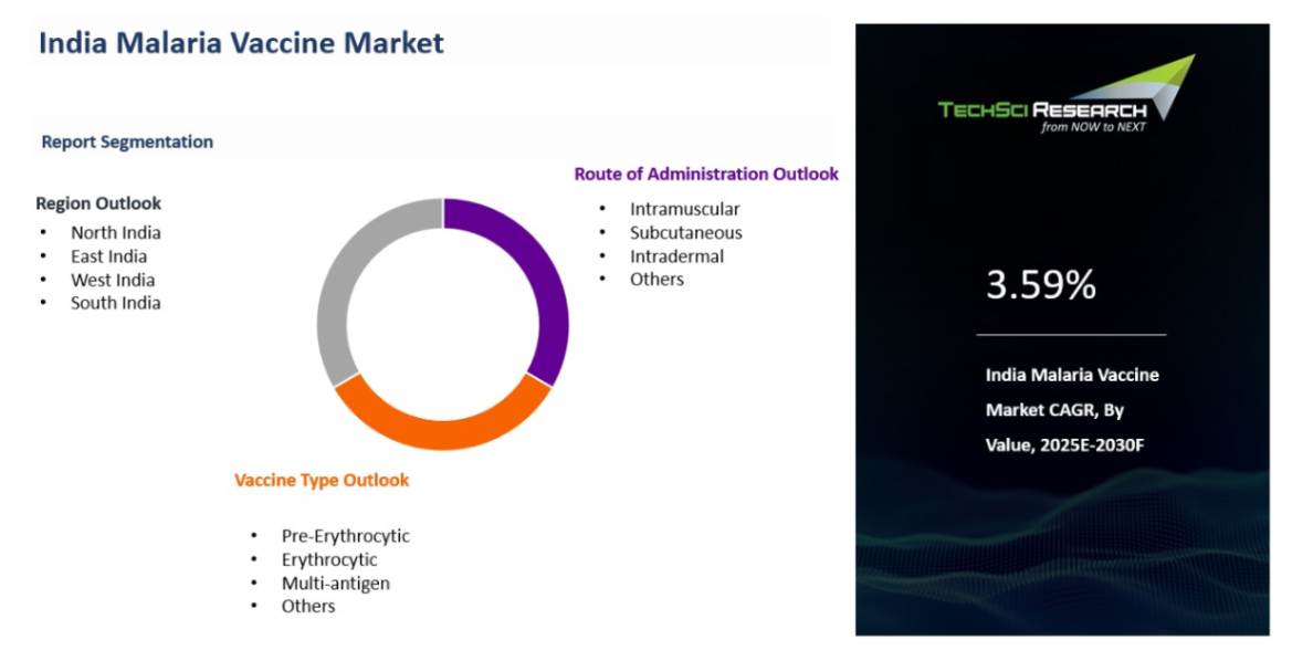 India Malaria Vaccine Market Size and Growth Outlook 2030F | TechSci ...