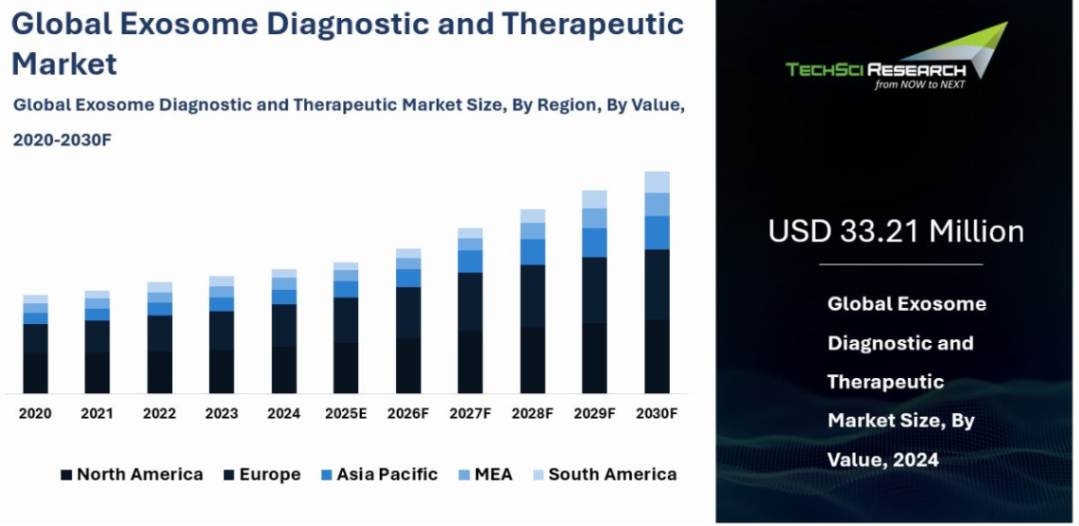 Exosome Diagnostic and Therapeutic Market By Size, Share & Forecast ...