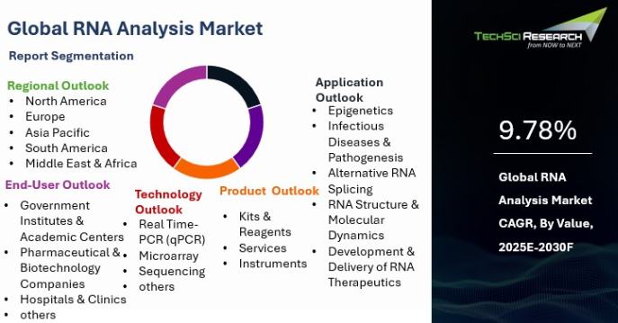 RNA Analysis Market By Size, Share and Forecast 2030F | TechSci Research