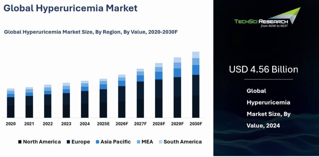 Hyperuricemia Market By Size, Share & Forecast 2030F | TechSci Research