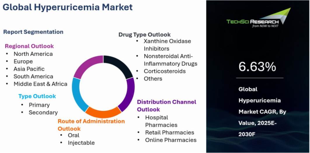 Hyperuricemia Market By Size, Share & Forecast 2030F | TechSci Research