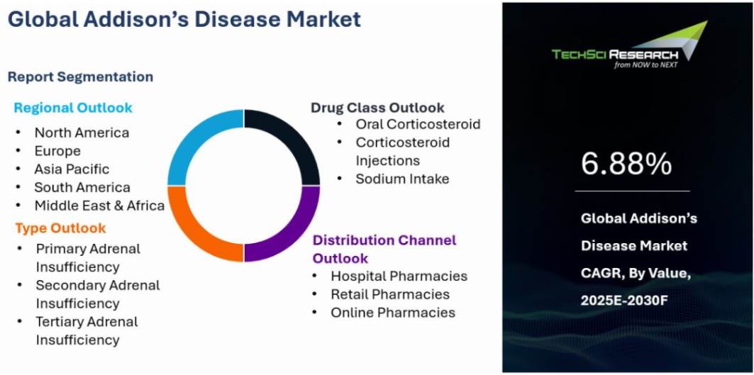 Addison’s Disease Market By Size, Share & Forecast 2030F | TechSci Research